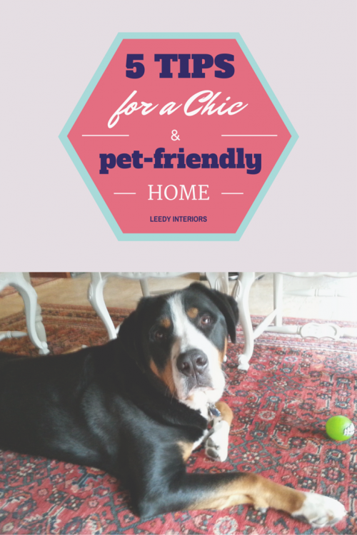 5 Tips for a Chic, Pet-Friendly Home | Tips & Inspiration | Leedy Interiors